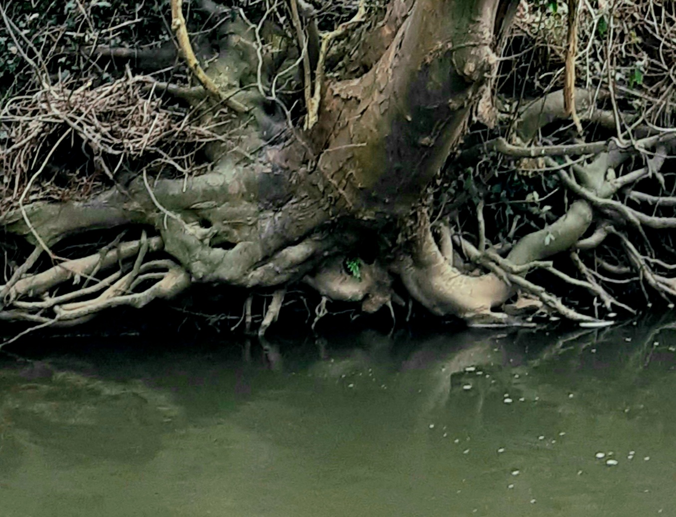 Corpse Road Blues countdown: 4, Addressing the Heart – Eric Nash